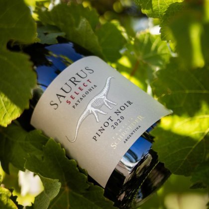 Bodega Familia Schroeder, es nuevamente reconocida por sus Pinot Noir