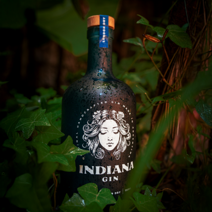 Cerveza Goyeneche presenta “Indiana Gin” un botánico increíble para ...
