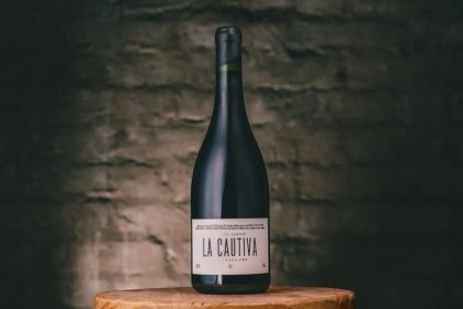 La Cautiva, el paraje frío de Gualtallary que dió vida a este Malbec de ...